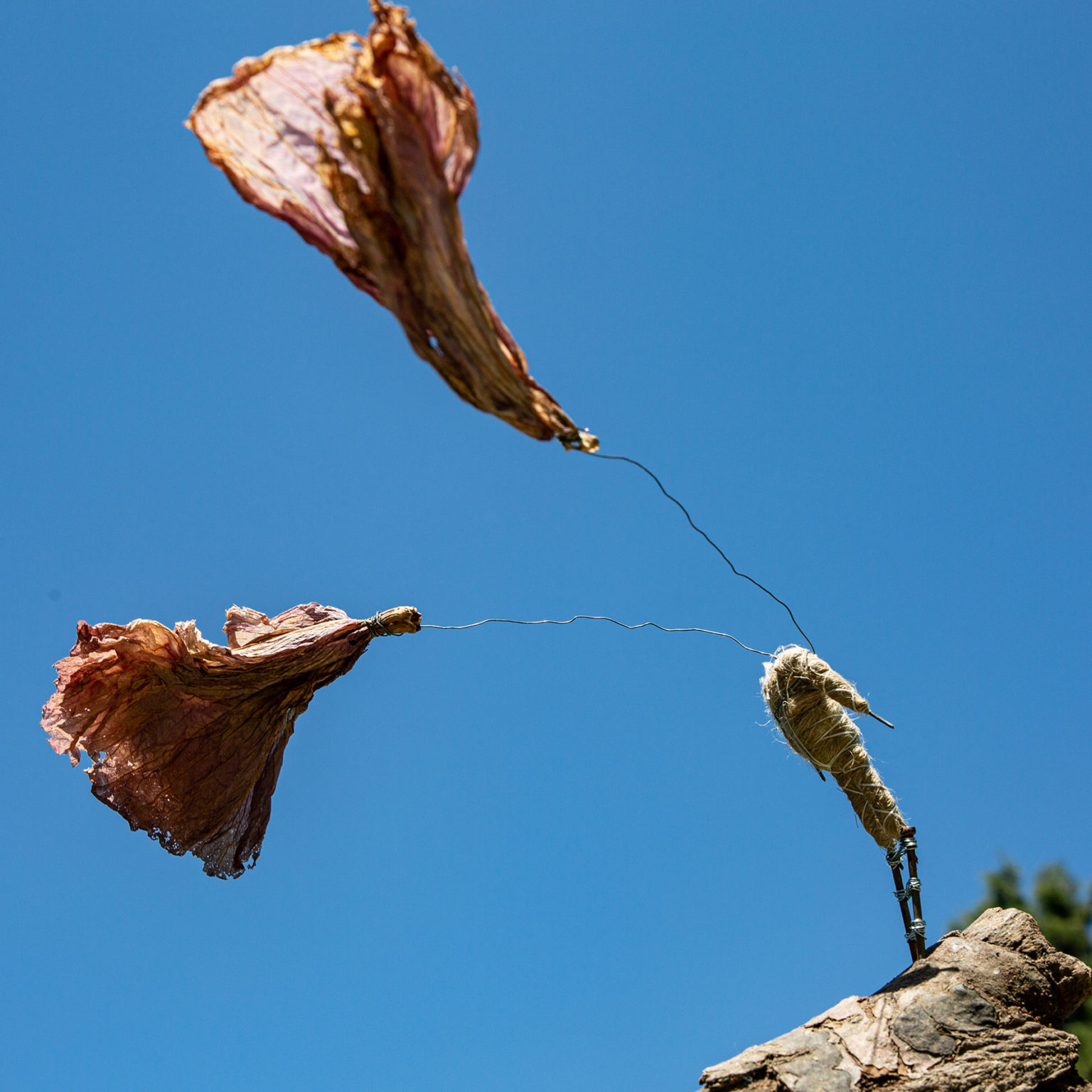 Analisi dell'opera: Autoritratto sulla Bugatti Verde di Tamara de Lempicka